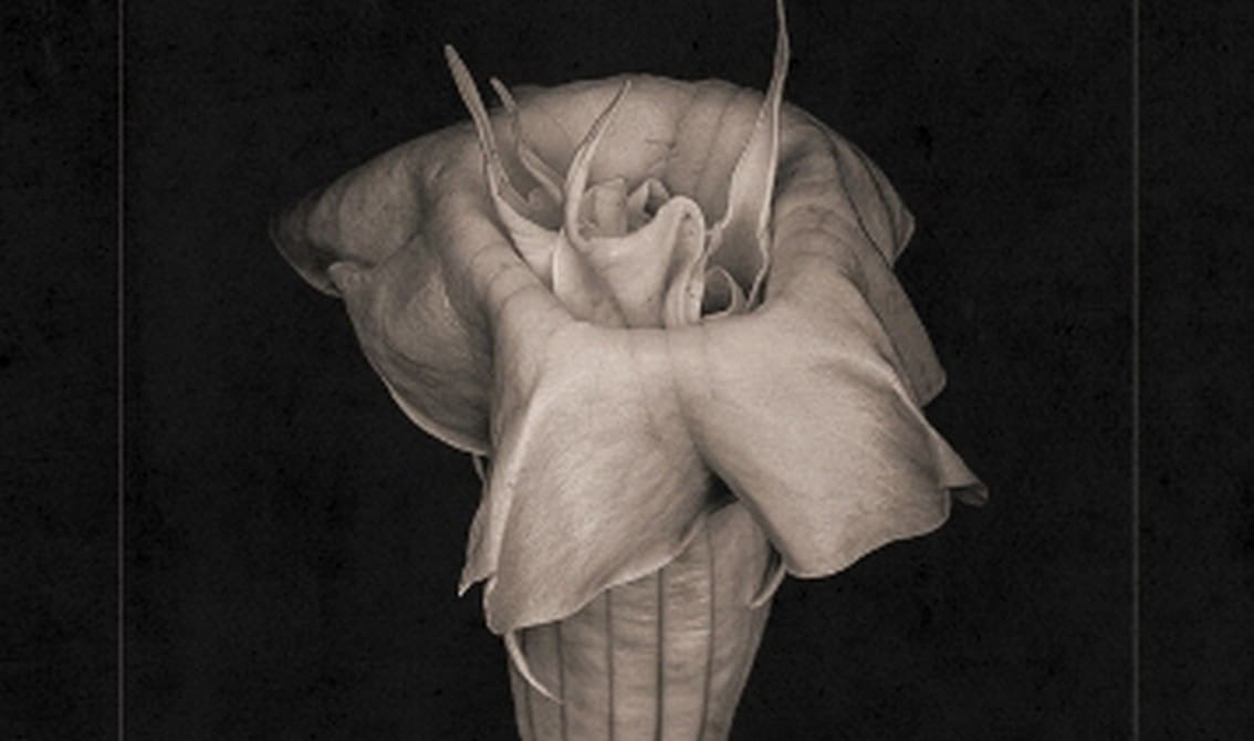 Silver Ghost Shimmer finally lands 10-track debut album 'Soft Landing'