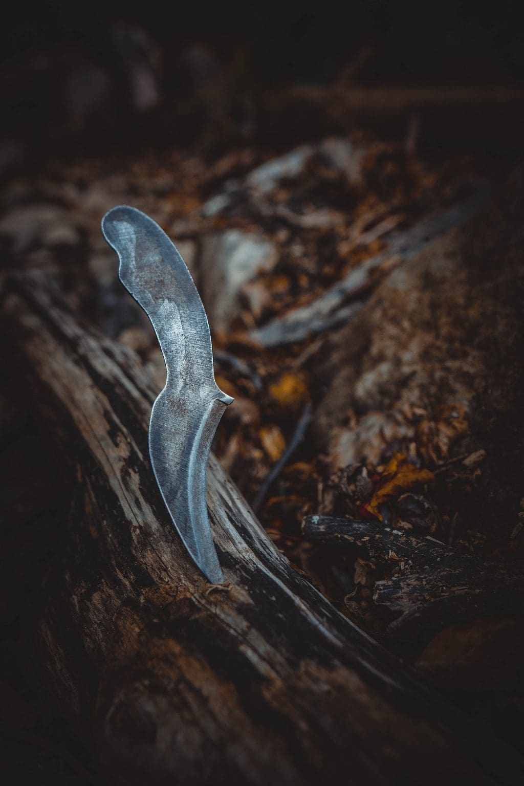 Which Is the Most Expensive Karambit | Marble Fade Pattern?