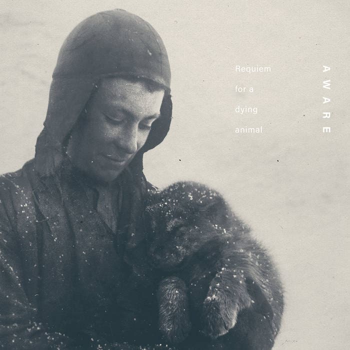 Aware – Requiem For A Dying Animal (Album – Glacial Movements)