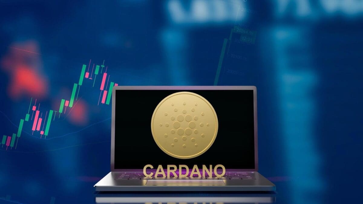 Everything you need to know about Cardano, one of the biggest ...