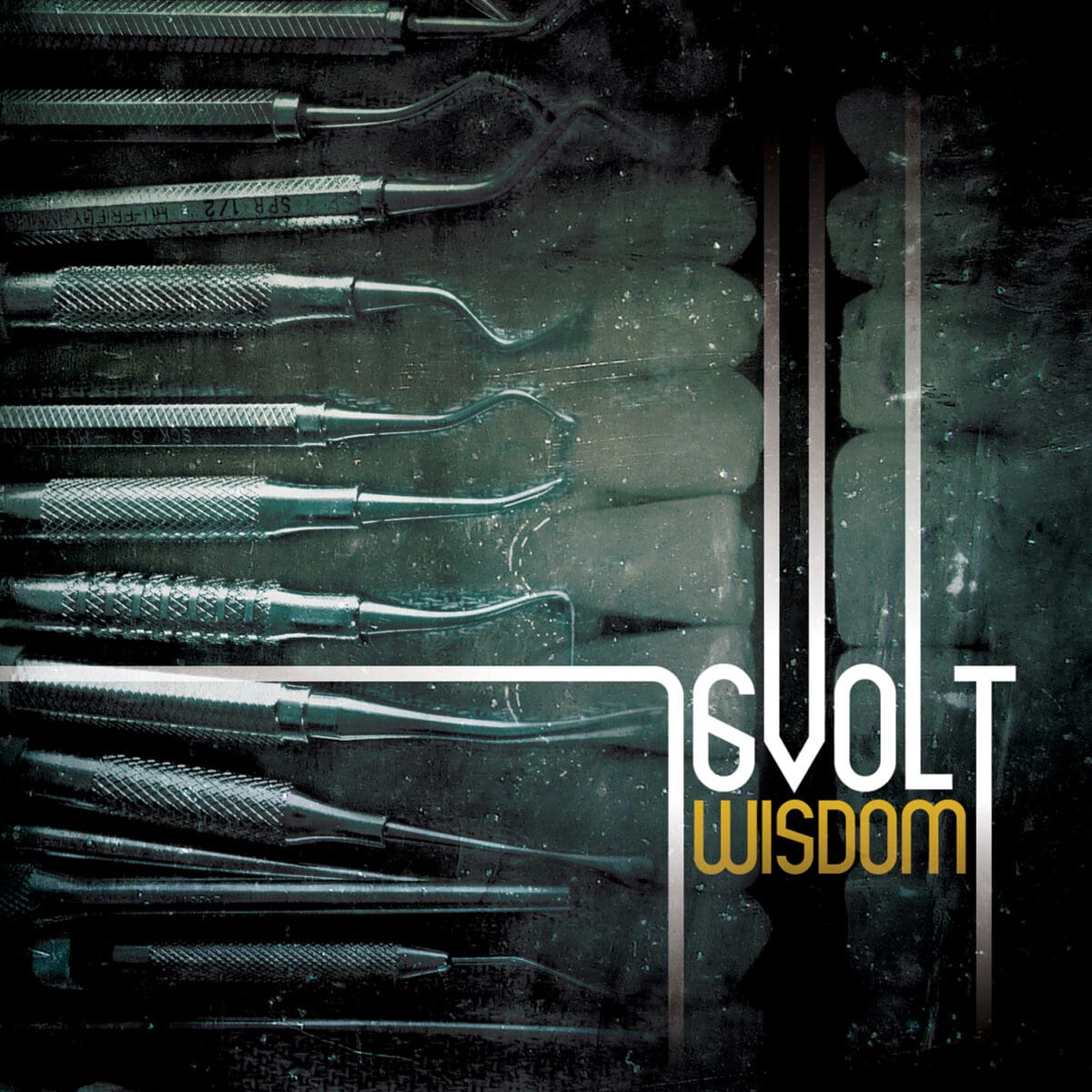 16Volt release remastered debut album 'Wisdom'