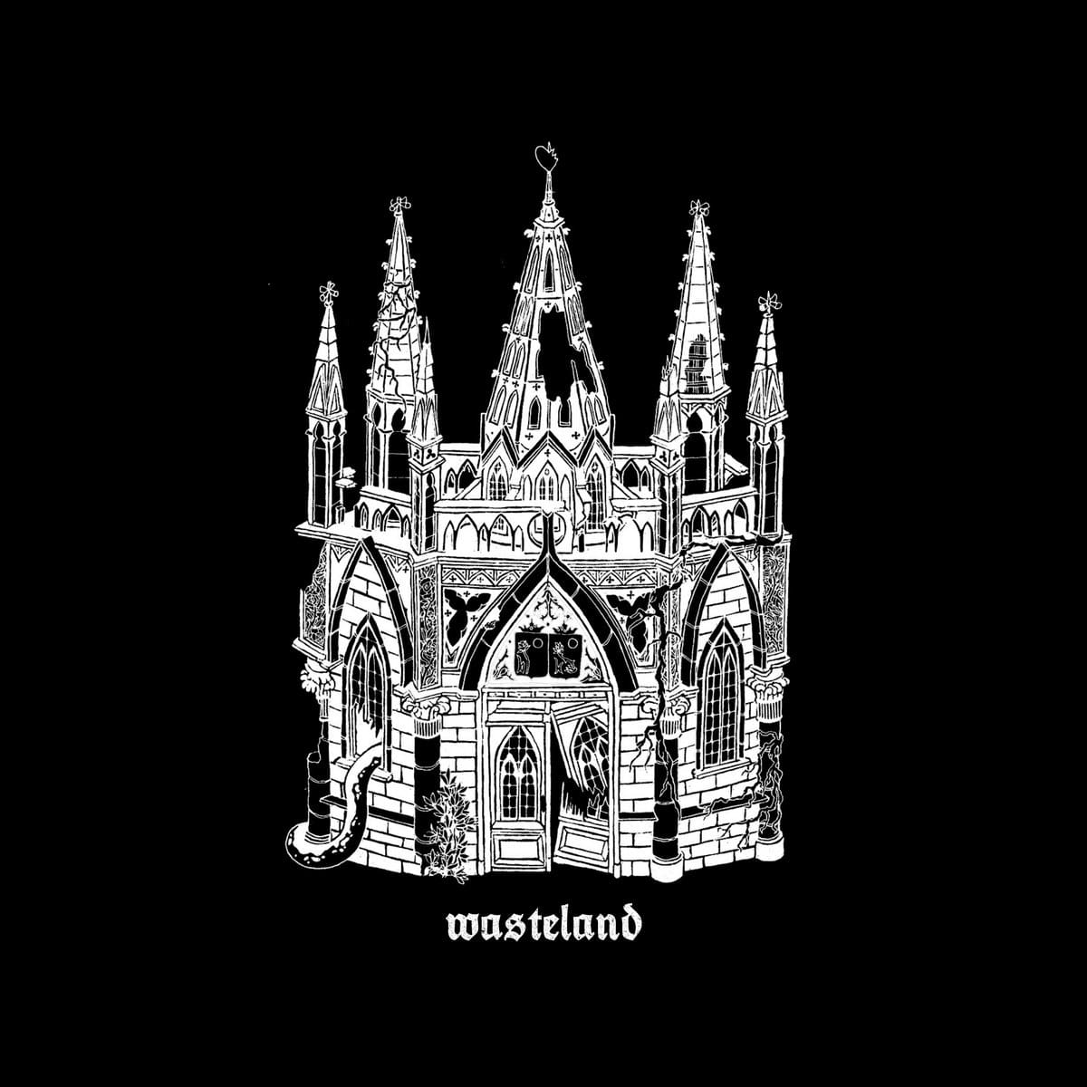 Buzzkill – Wasteland (Digital/CD/Vinyl/Cassette Album – Manic ...